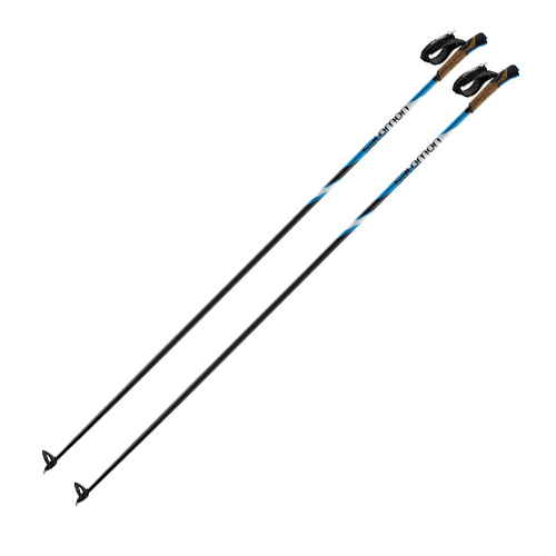 POLES R 30 CLICK | Sport Luck - Dein Experten-Shop für Nordic Sports ...