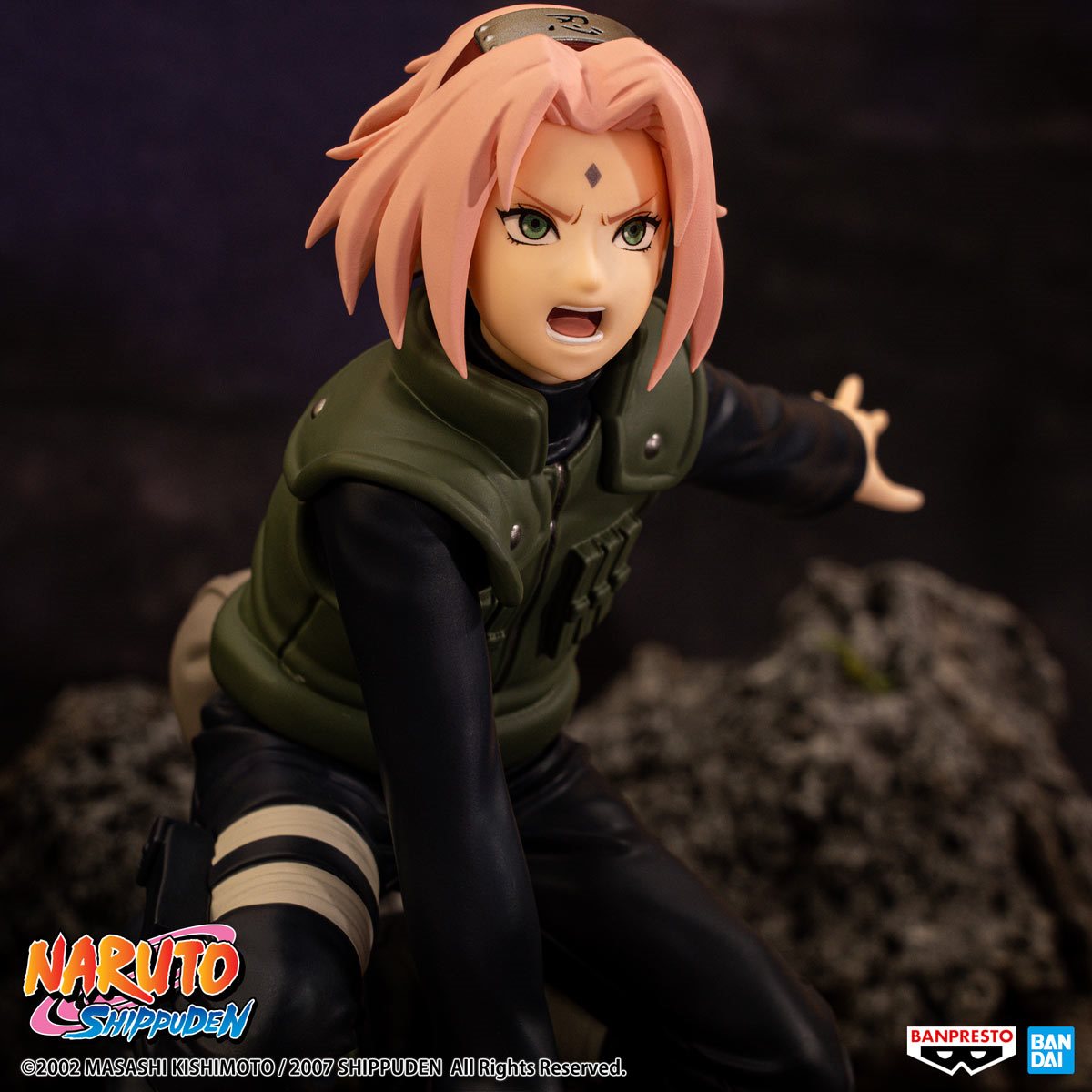 Sakura Shippuden Road To Sakura | Narutopedia | Fandom