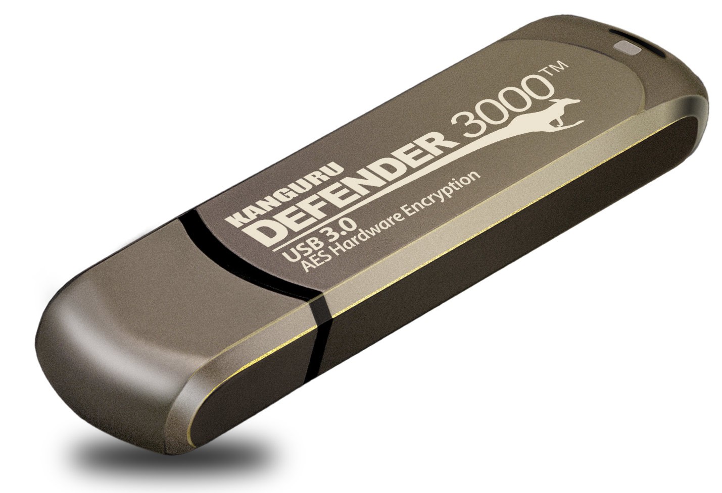 256GB Kanguru Defender 3000 (Encrypted USB 3.0 Flash Drive), FIPS 140-2 ...