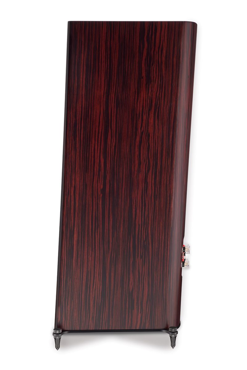 T+A Criterion S 230 | Ohrenschmaus HiFi