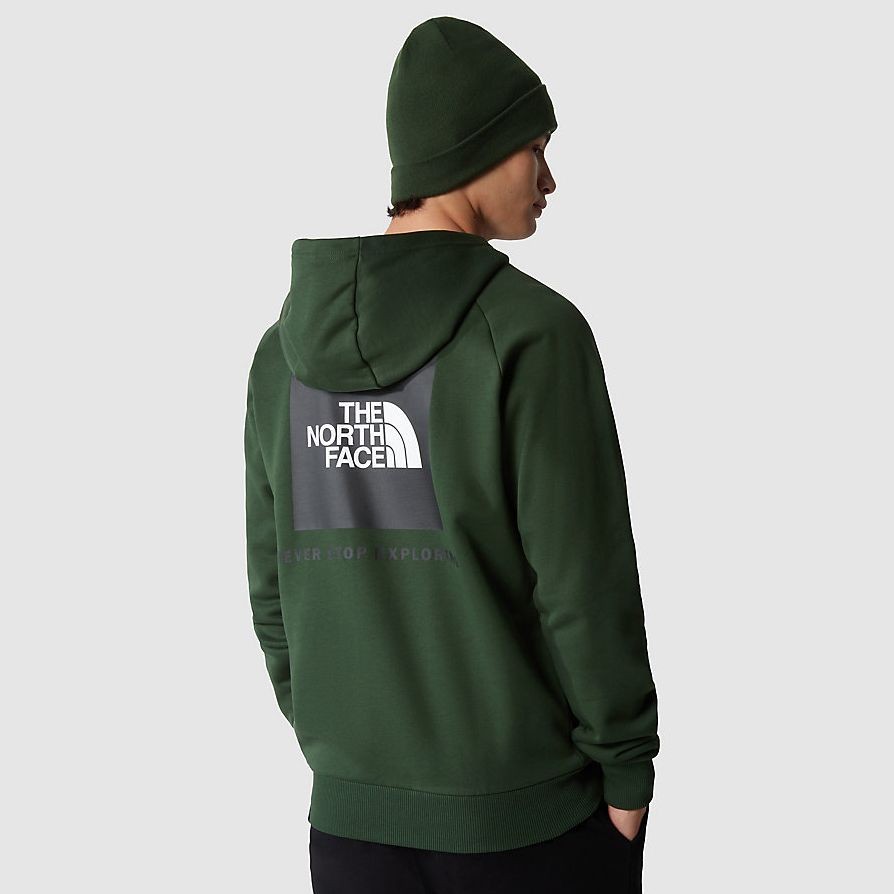 The north face raglan hoodie store