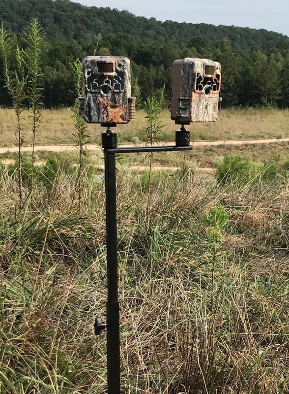 BTC-CFM Field Mount | wildkamera.eu