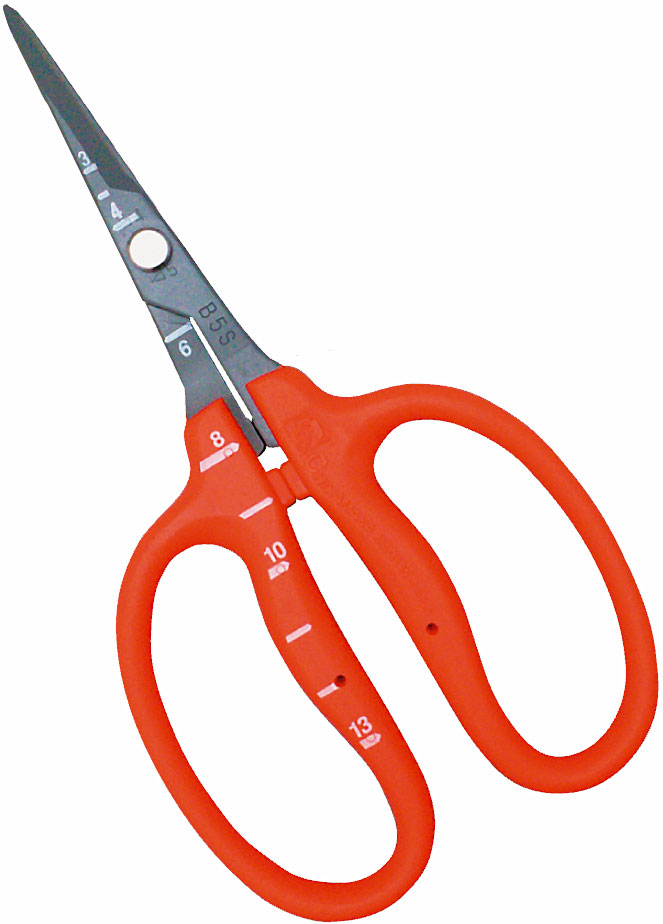 Chikamasa Pro Scissors | growfor.life