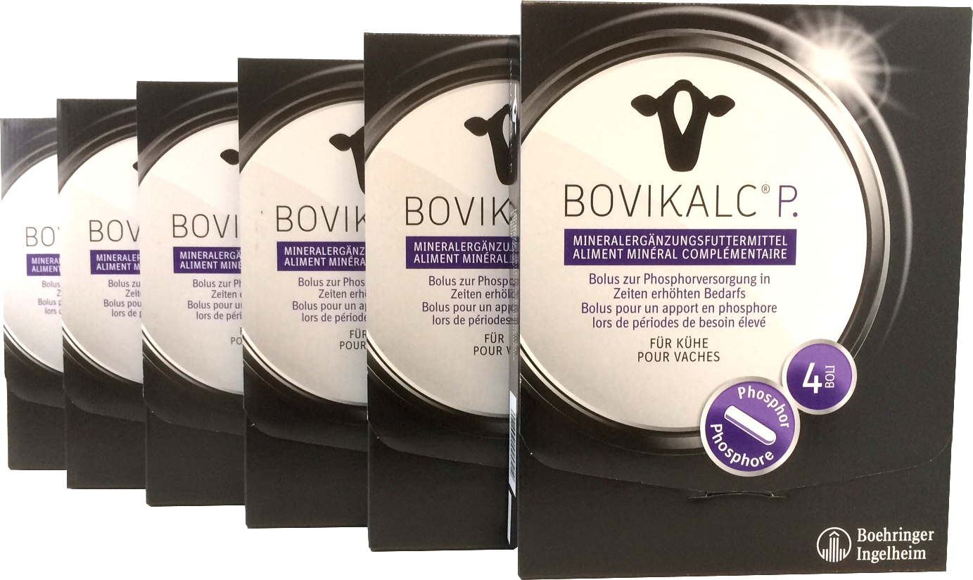 Bovikalc® P. 6 x 4 Boli - Vorteilspack - Phosphorbolus mit Monokalziumphosphat | VETMarkt24.de