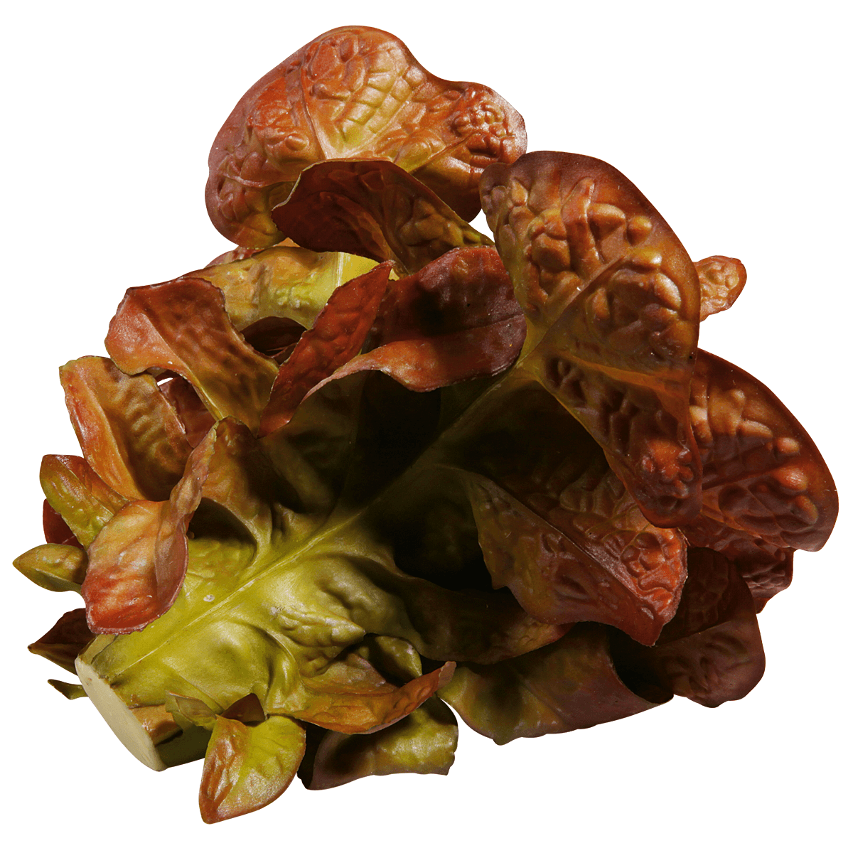 Eichblattsalat rot Lebensmittel-Attrappe, 23 cm Ø | DecoWoerner