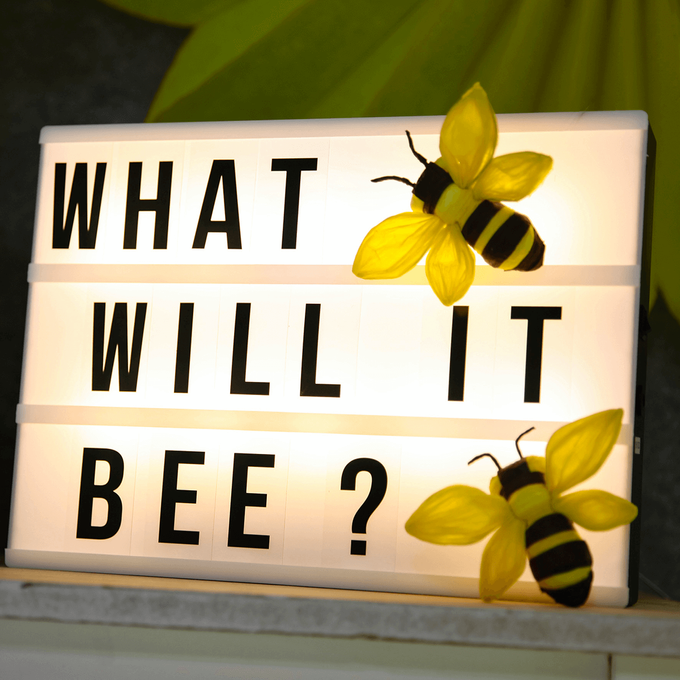 Decorative bees 10-14 cm, 5 pcs | DecoWoerner