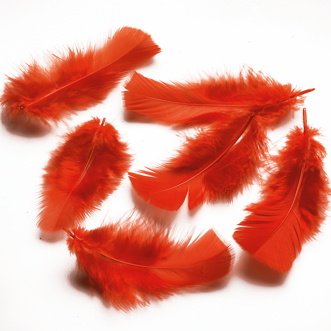 Decorative feathers red, 20 g | DecoWoerner