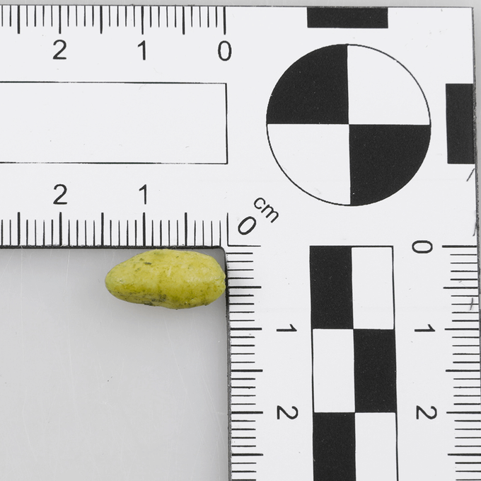 Pistachio Food Dummies 50 g bag | DecoWoerner