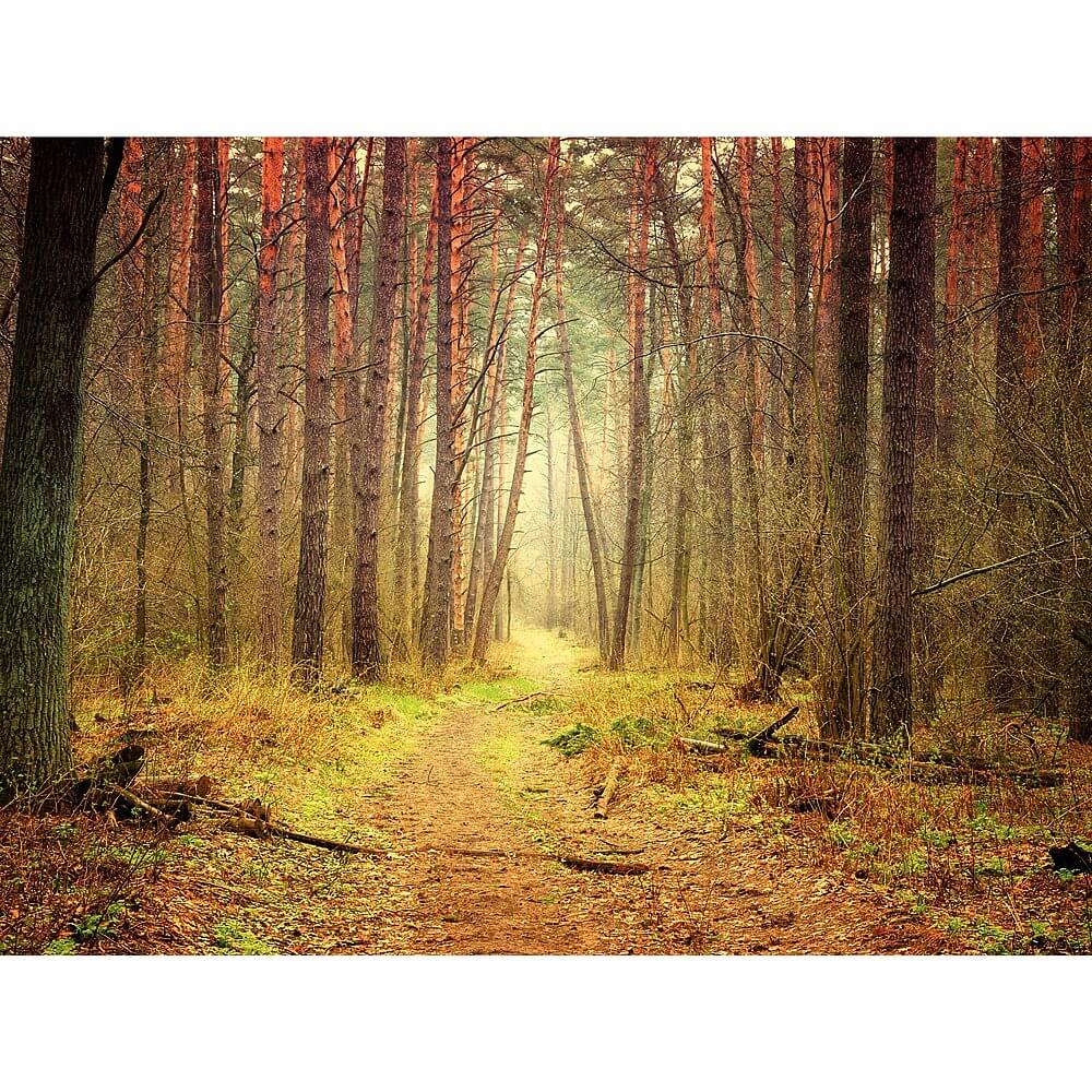 XXL-Planenbanner "Herbstlicher Waldweg" aus schwer entflammbarer LKW ...