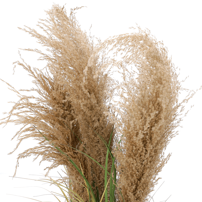 Artificial Reed Grass in Pot 25 x 25 x 60 cm | DecoWoerner