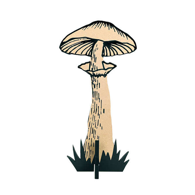 Pie de seta natural / negro | DecoWoerner