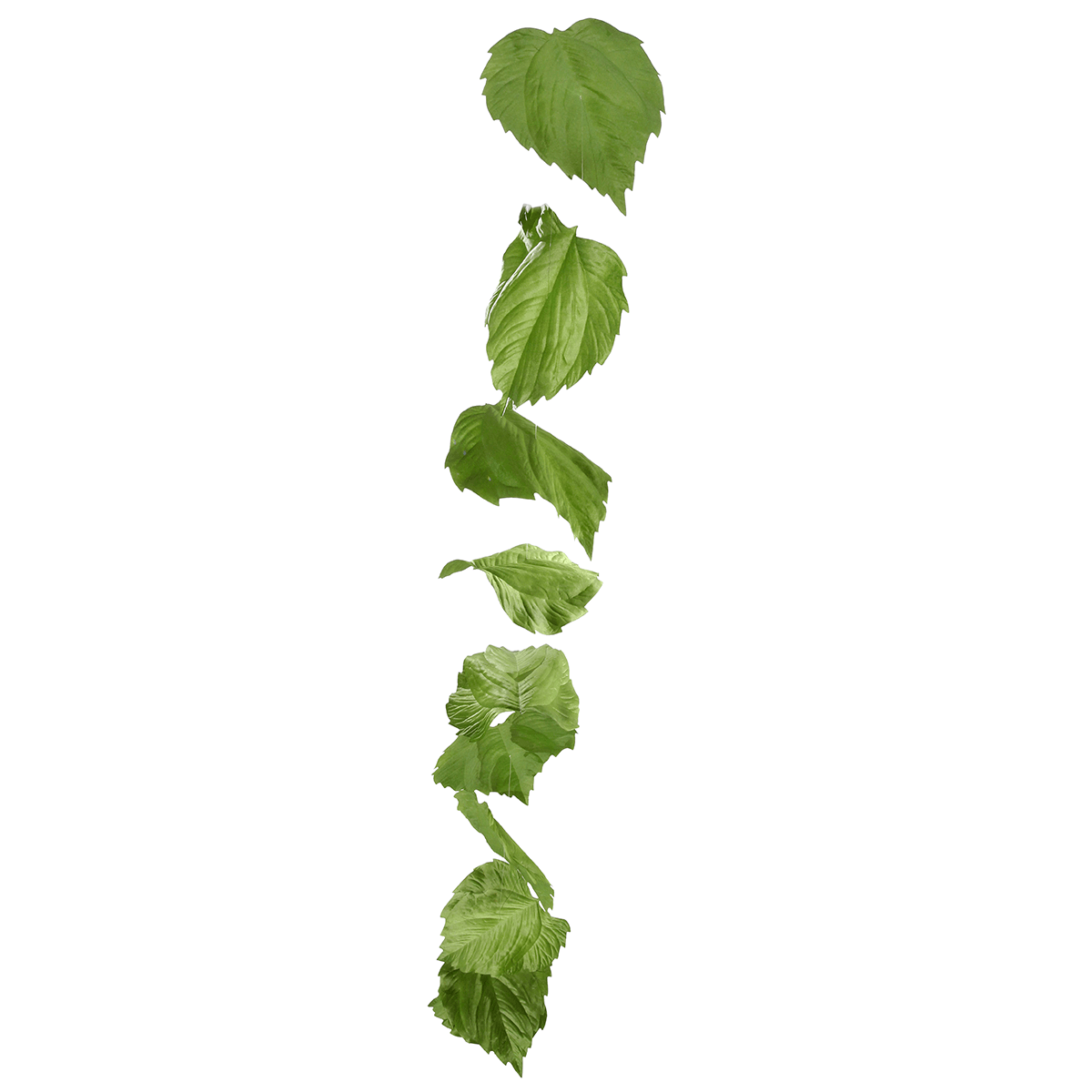 Vine birch leaves 160 cm | DecoWoerner