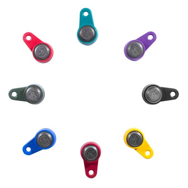 iButton DS1990 F5 mit digitaler ID inkl. Halter und Magnetring für ...