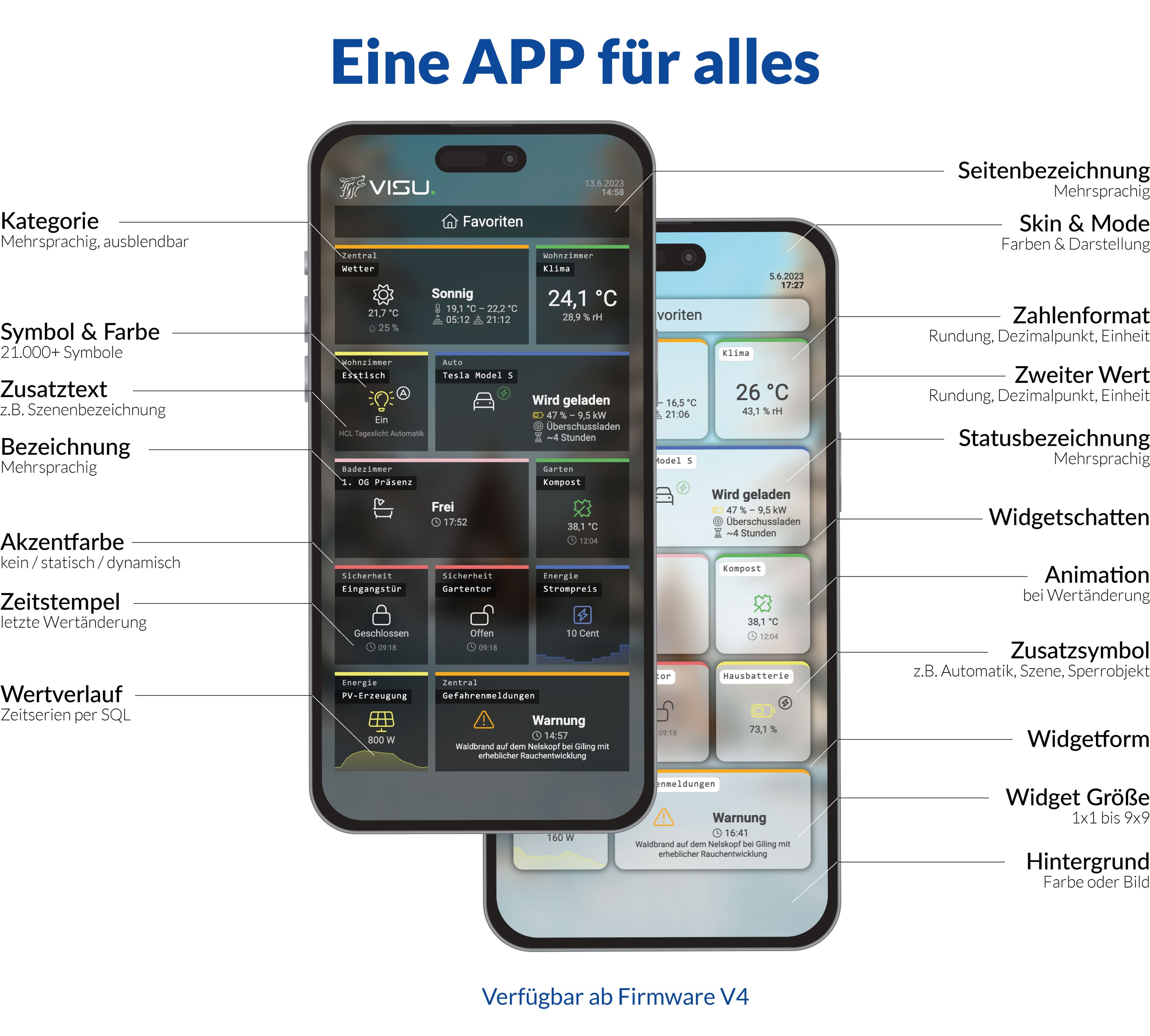 Größenvergleich Des Timberwolfs Mit Dem Menschen