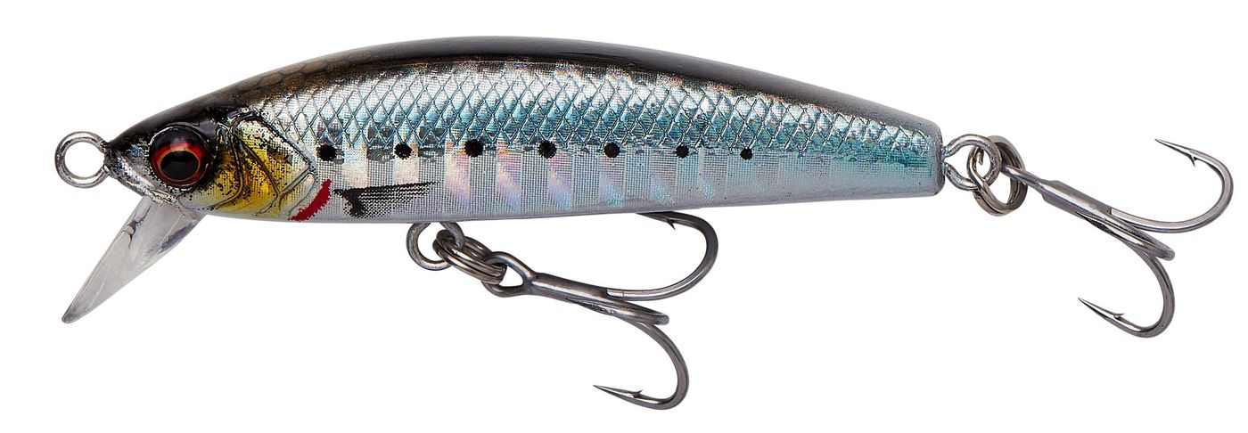 Savage Gear Gravity Minnow 6cm 12g Sinking - Wobbler Sardine Photo Print
